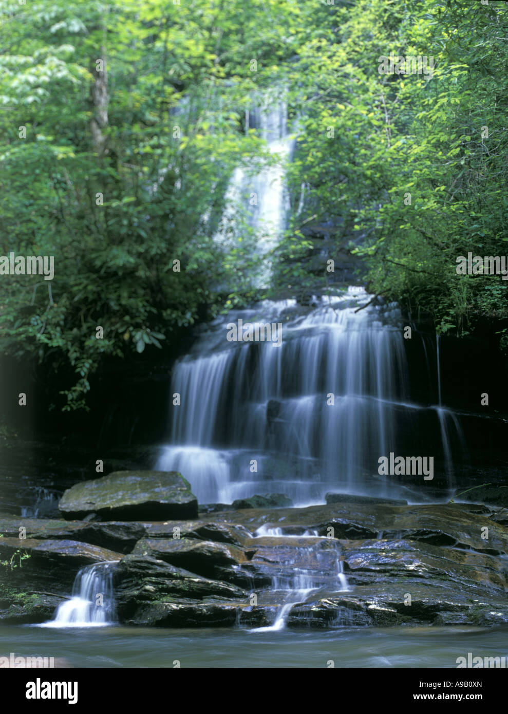 TOM BRANCH WATERFALL DEEP CREEK GREAT SMOKY MOUNTAINS NATIONAL PARK ...