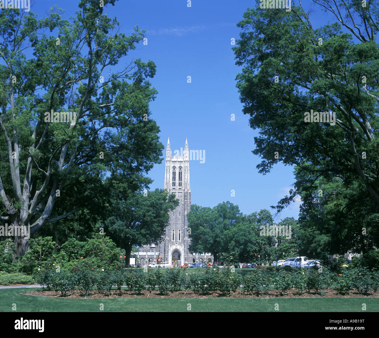 Duke University Chapel Spring
