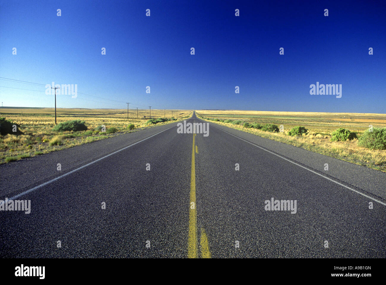 YELLOW CENTER LINE ON ASPHALT RURAL ROAD NEW MEXICO USA Stock Photo - Alamy