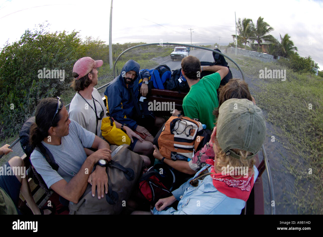 Latin America South America Ecuador Galapagos Islands Isabela Island ...