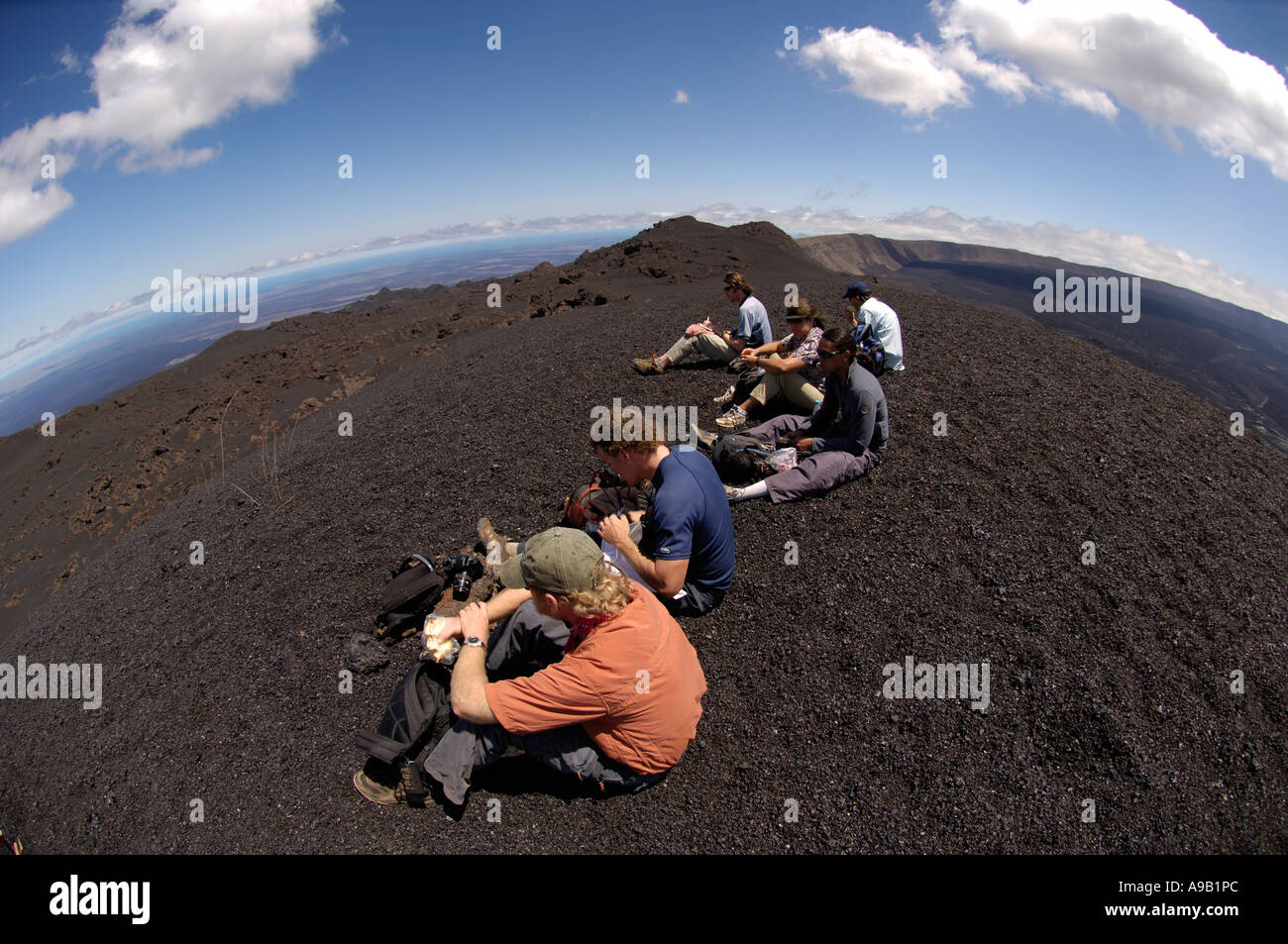 Latin America South America Ecuador Galapagos Islands Isabela Island ...