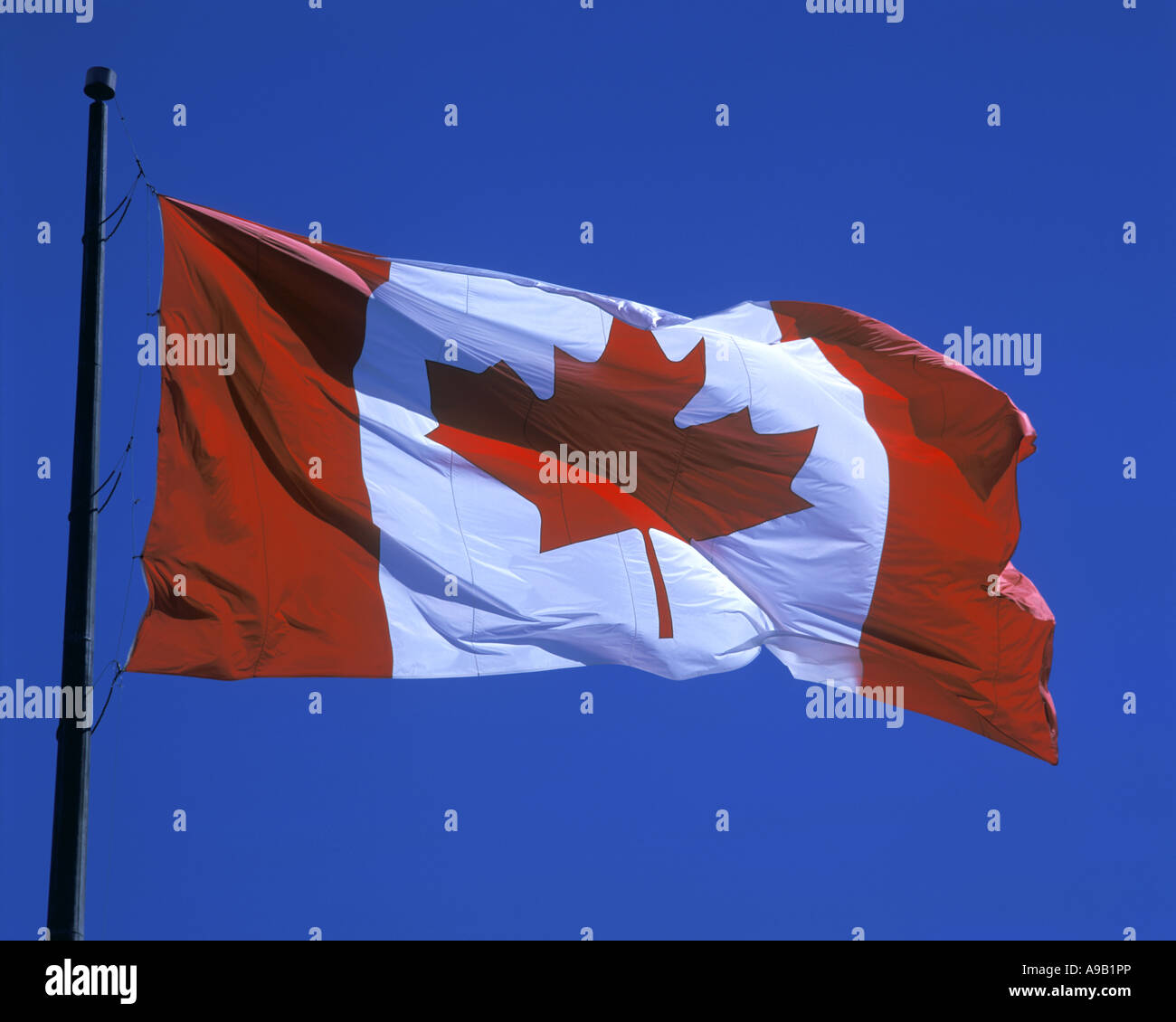 Canada flag on flagstaff hi-res stock photography and images - Alamy