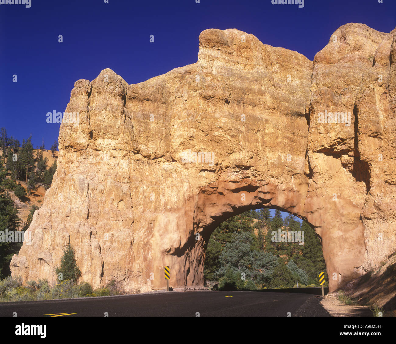 Bryce national park and road hi-res stock photography and images - Alamy