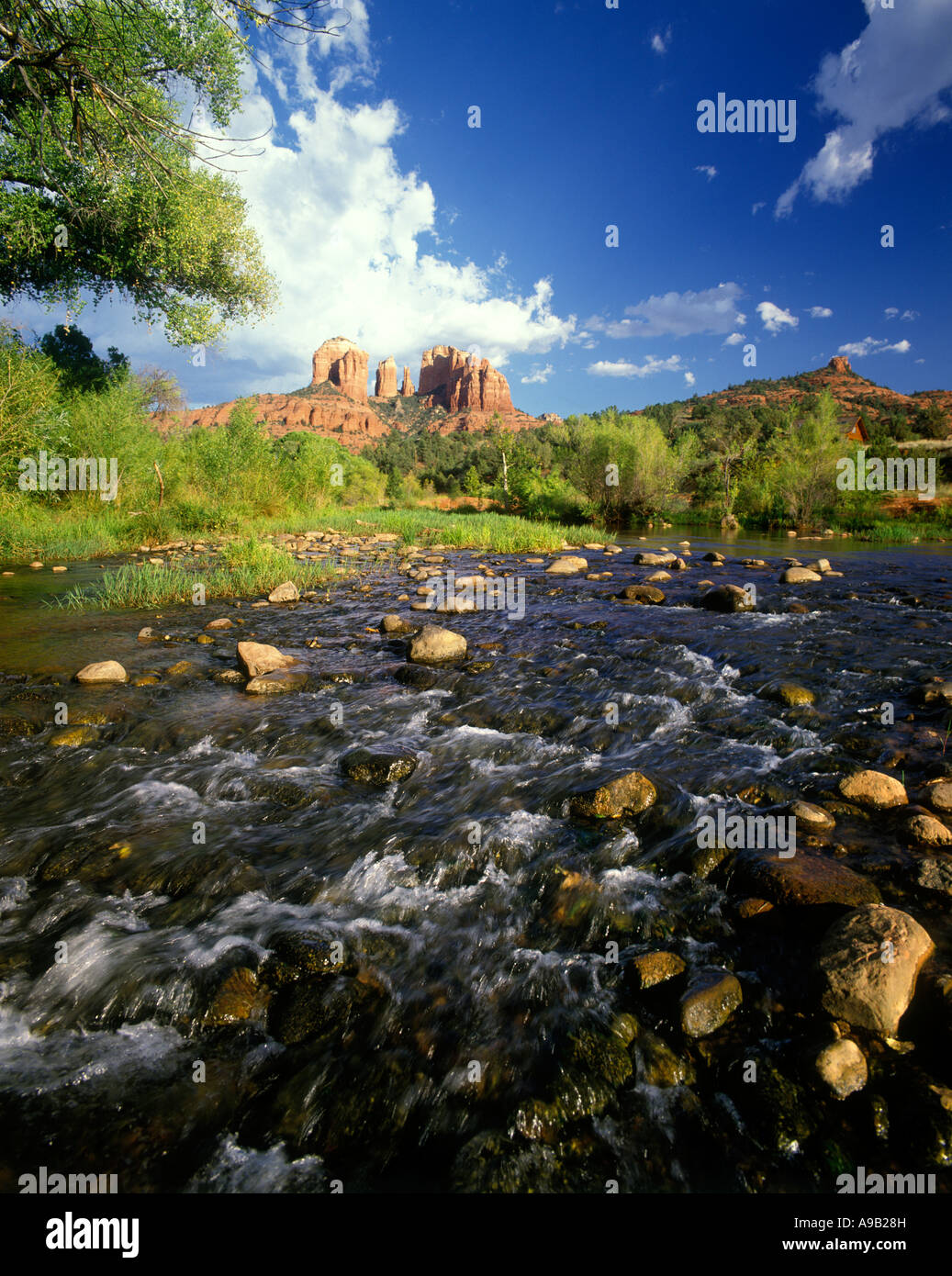 CATHEDRAL ROCK FROM RED ROCK CROSSING OF OAK CREEK RIVER SEDONA ARIZONA ...