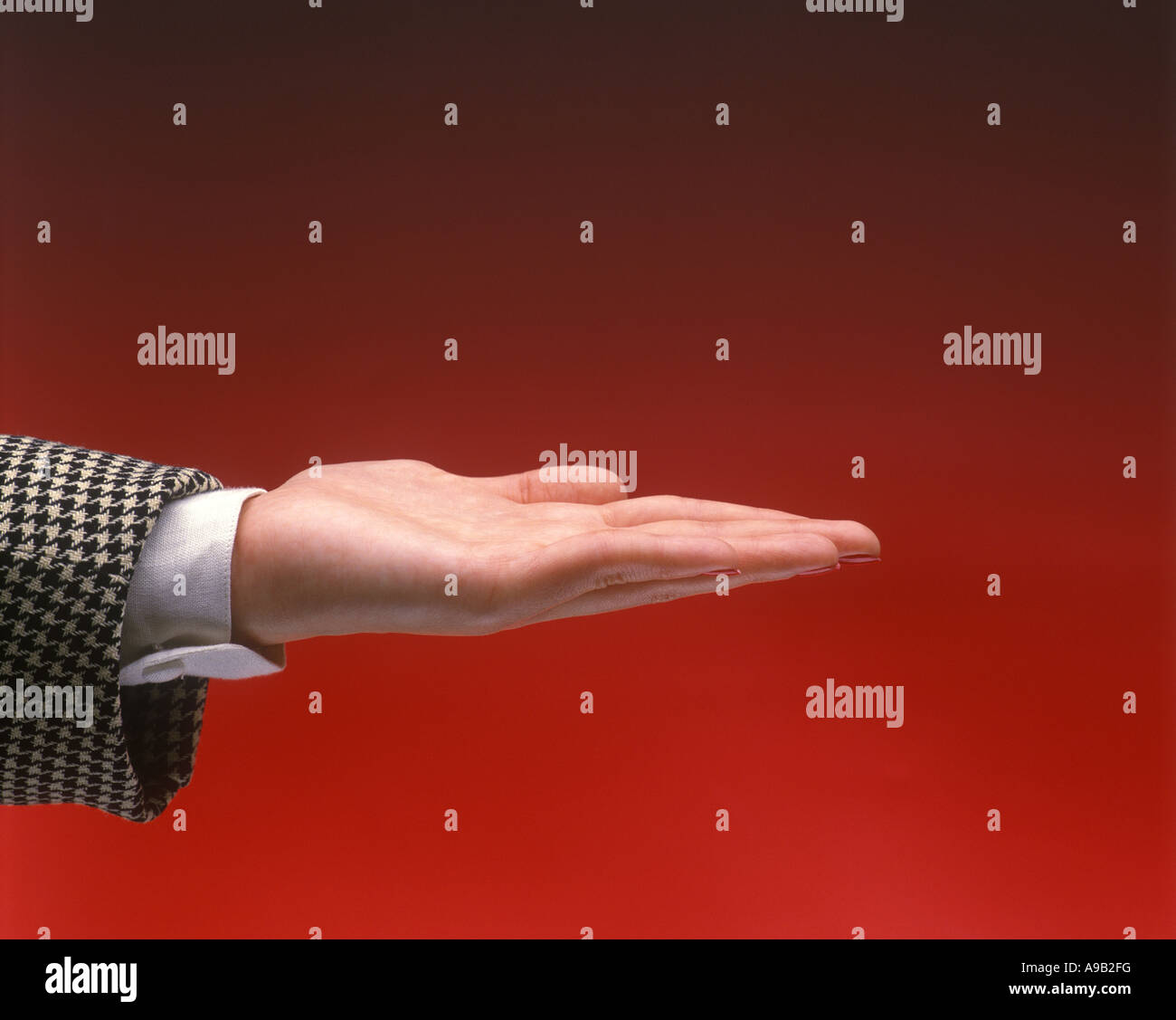 WOMAN’S HAND PALM UP Stock Photo - Alamy