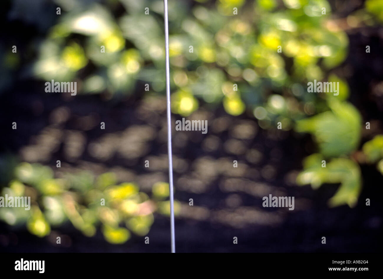 On through line hi-res stock photography and images - Alamy