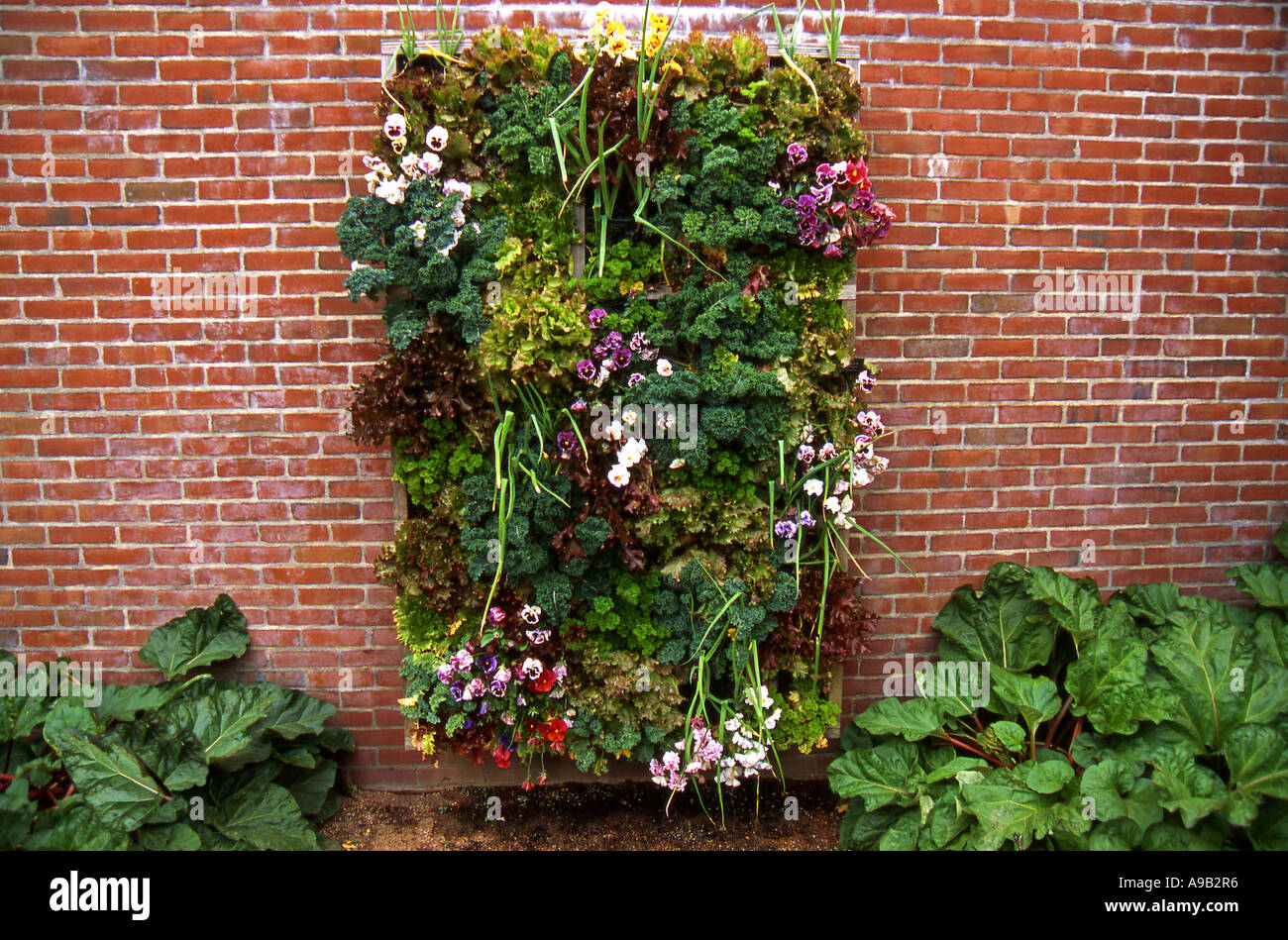 Vertical Wall Garden Stock Photo - Alamy