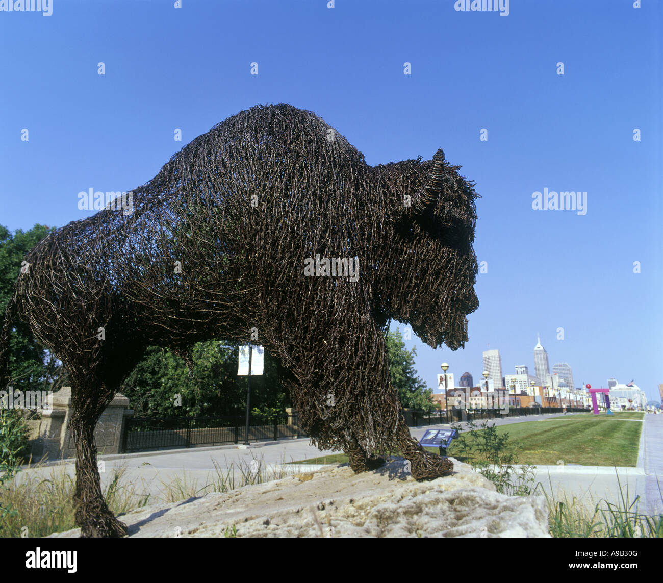 Buffalo indiana hi-res stock photography and images - Alamy