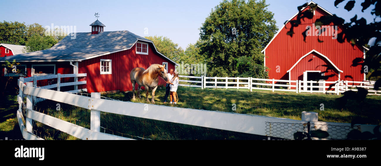 Agriculture - A farm couple tends to their work horse in a corral with ...