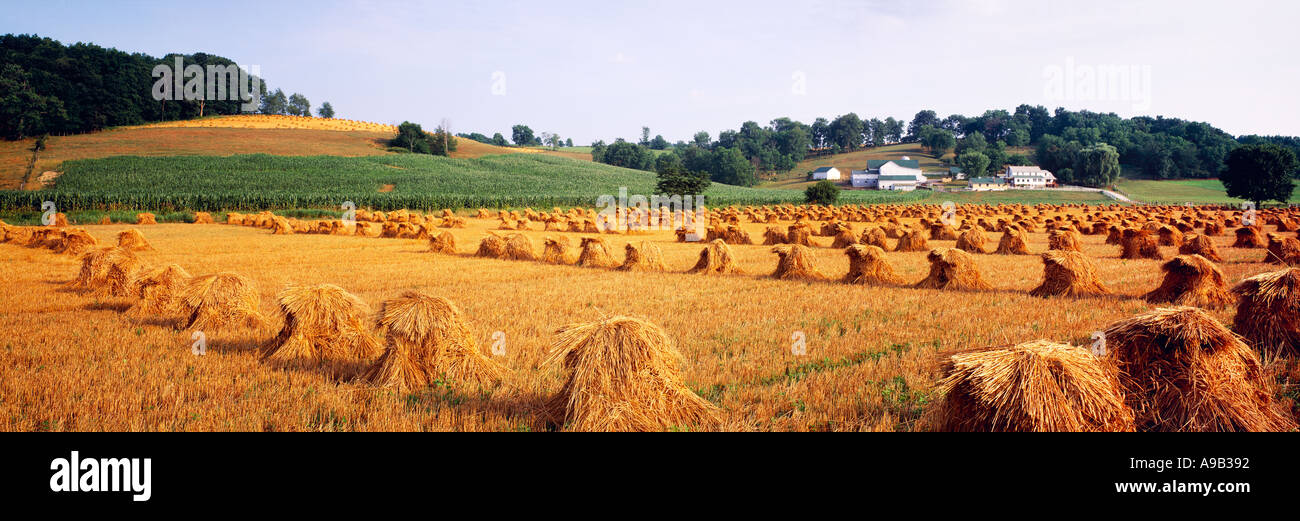 Amish Farm Ohio High Resolution Stock Photography and Images - Alamy