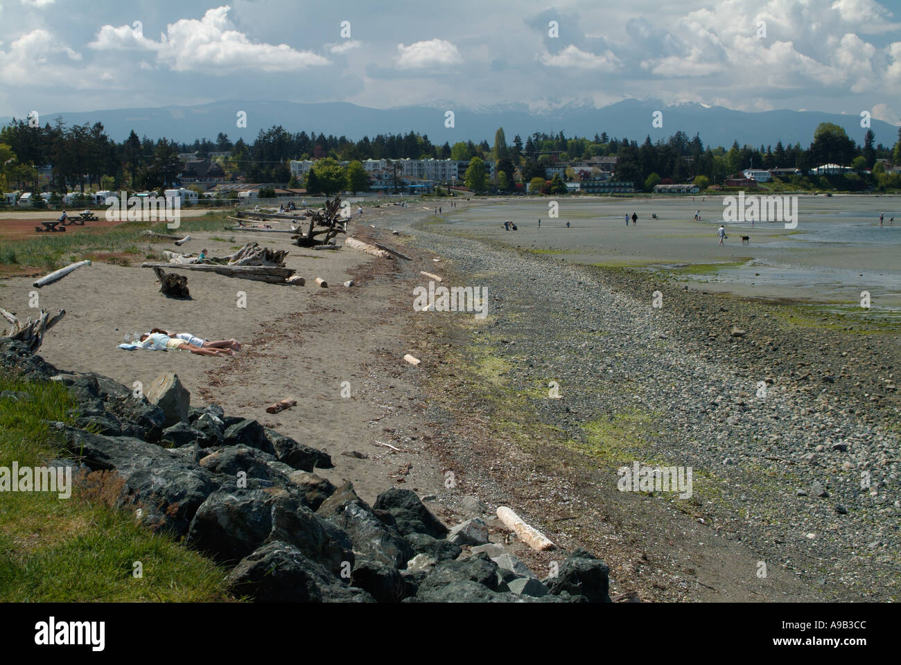 People enjoying a day at the beach Parksville Vancouver Island BC ...