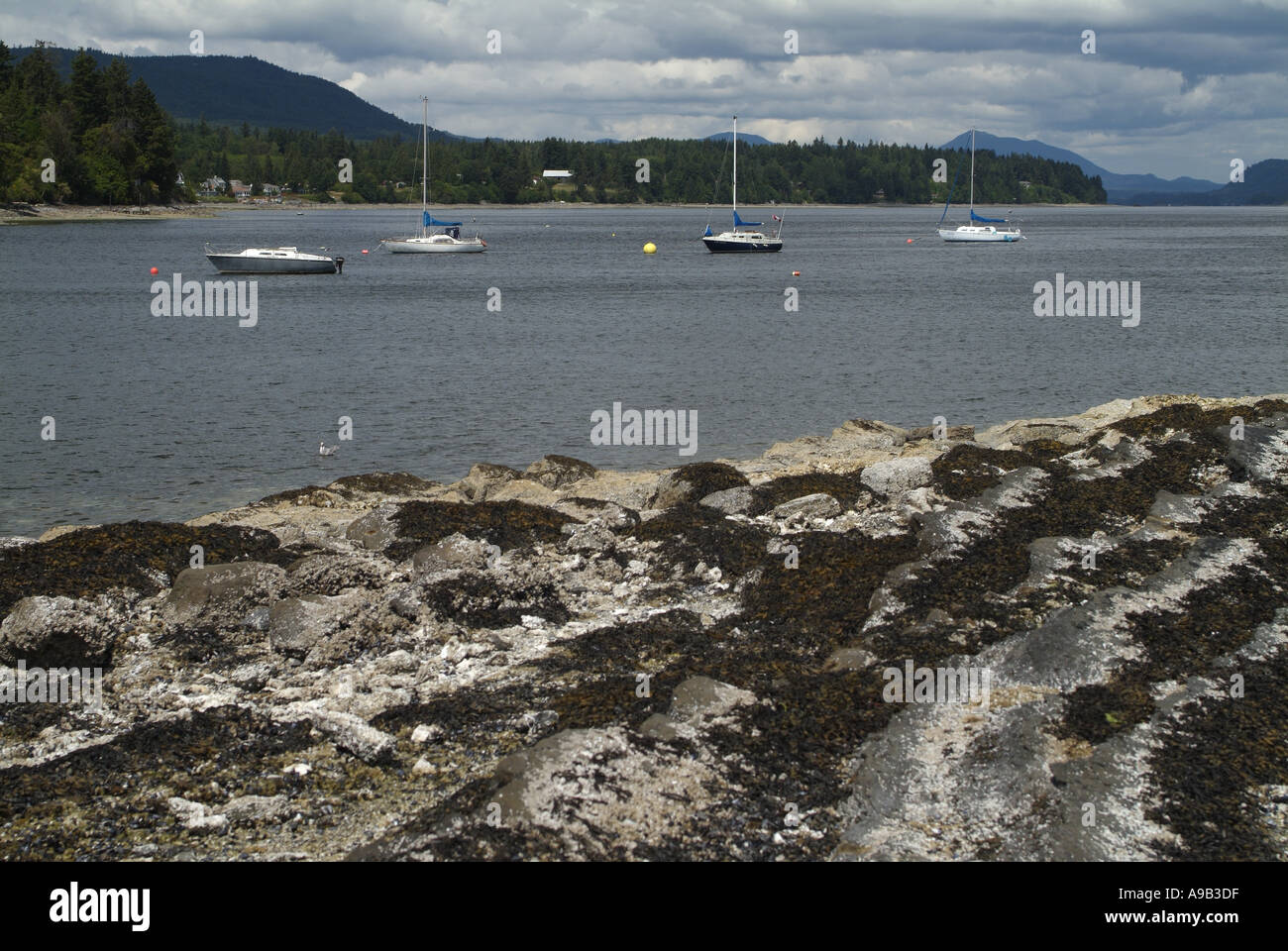 Chemainus bay hi-res stock photography and images - Alamy