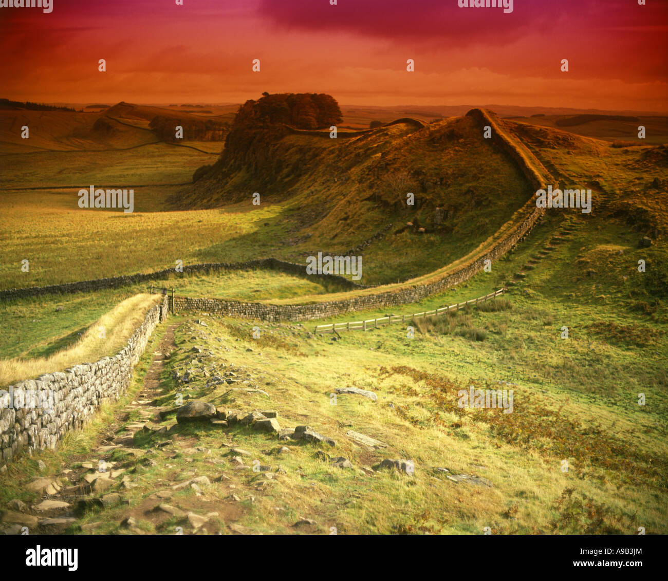 HADRIAN’S WALL RUINS HOUSESTEADS ROMAN FORT NORTHUMBERLAND ENGLAND UK ...