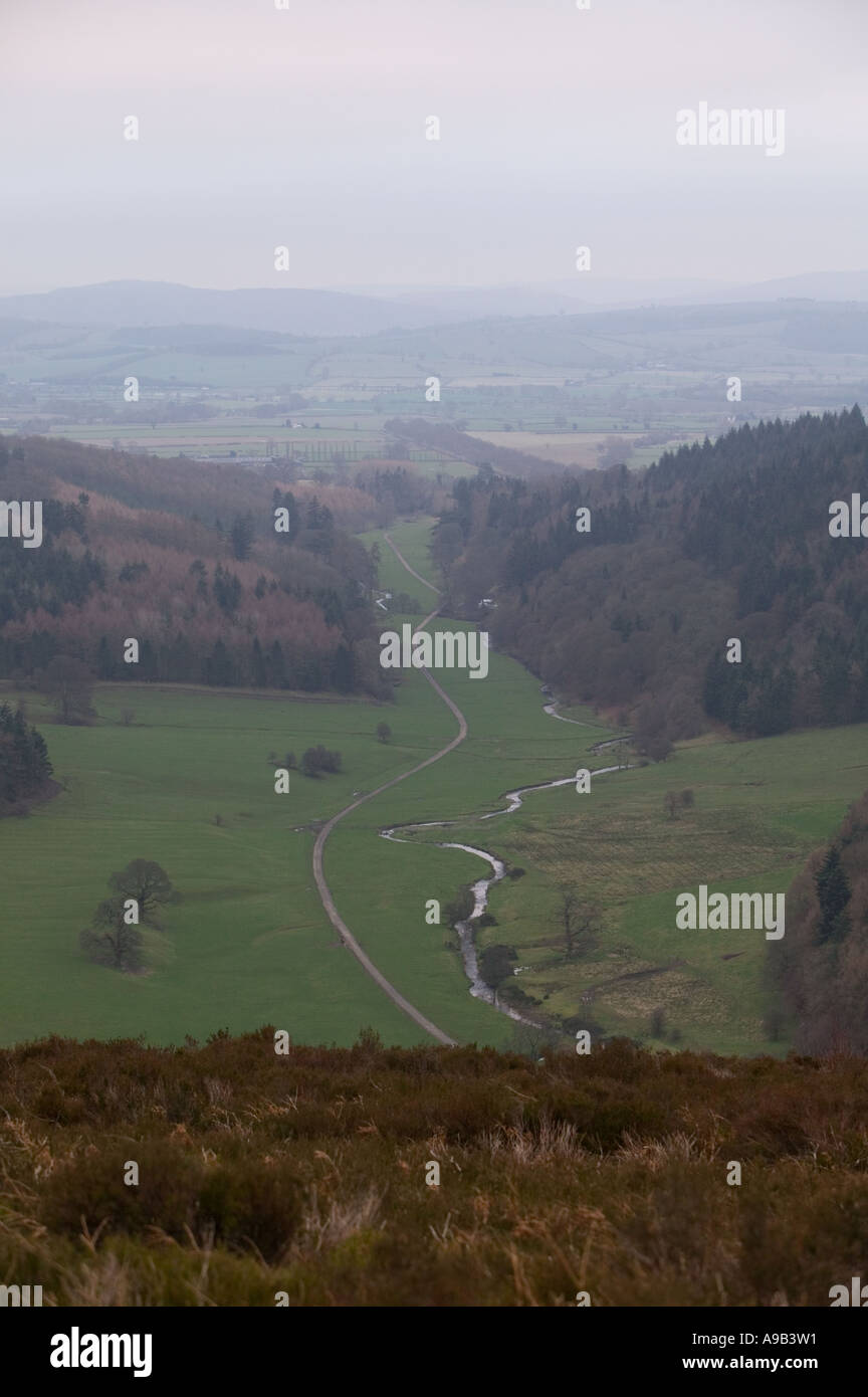 Devon dry stone walls hi-res stock photography and images - Alamy