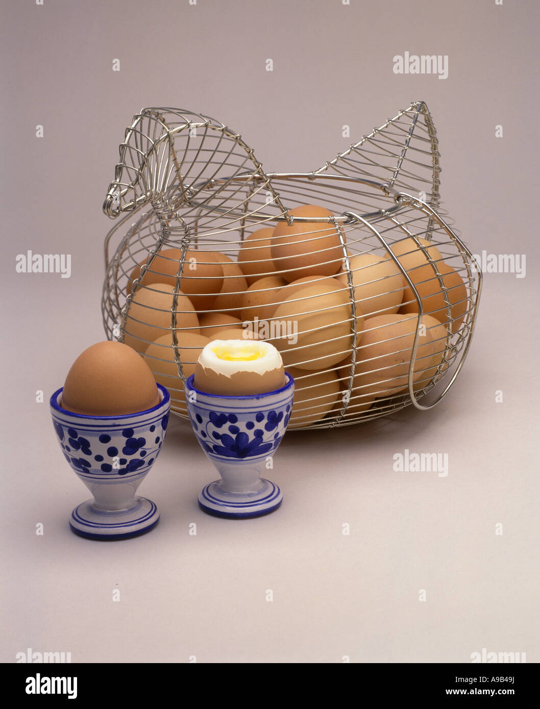Chicken chicken wire hi-res stock photography and images - Alamy