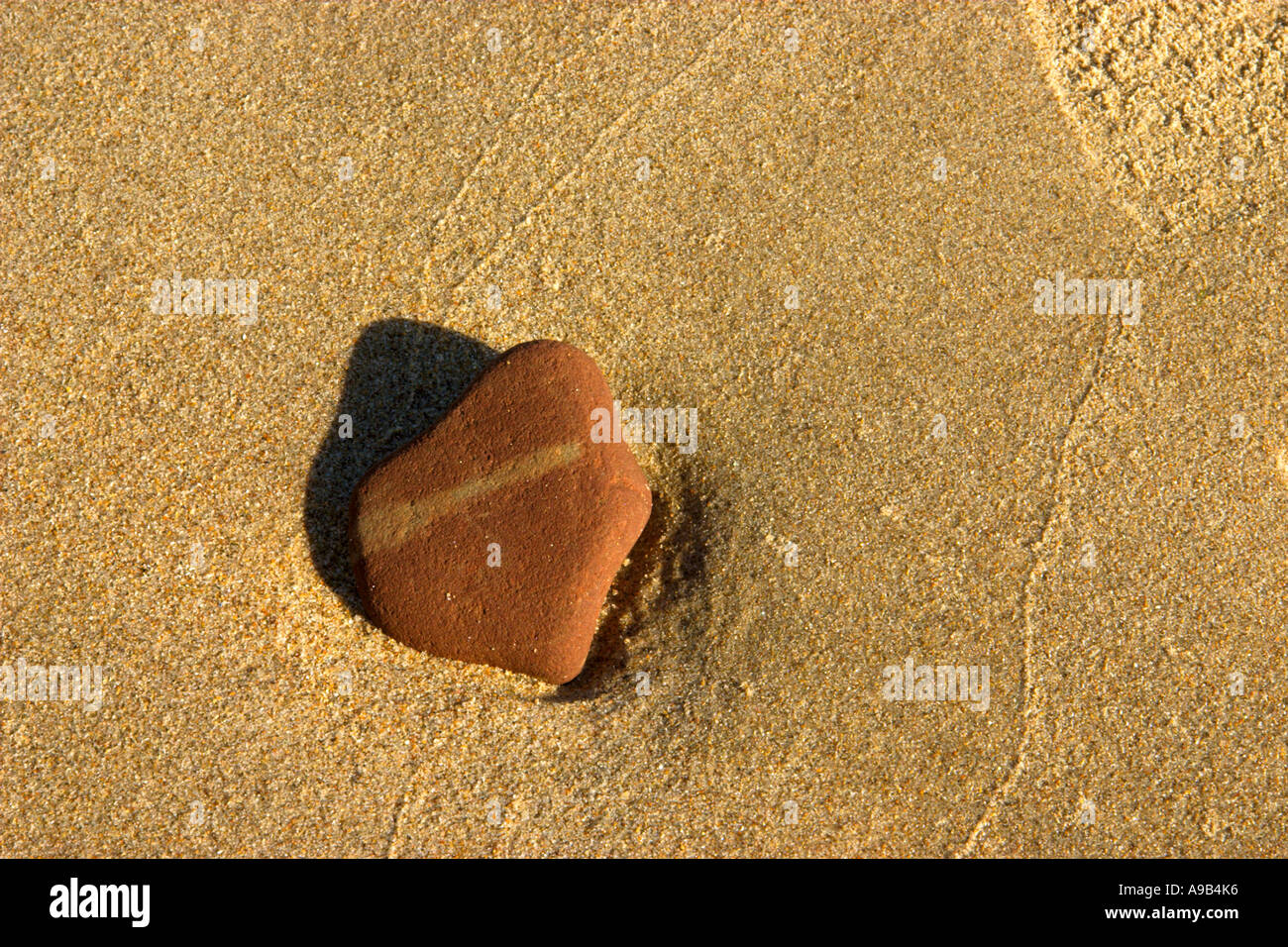 Embedded in a stone hi-res stock photography and images - Alamy
