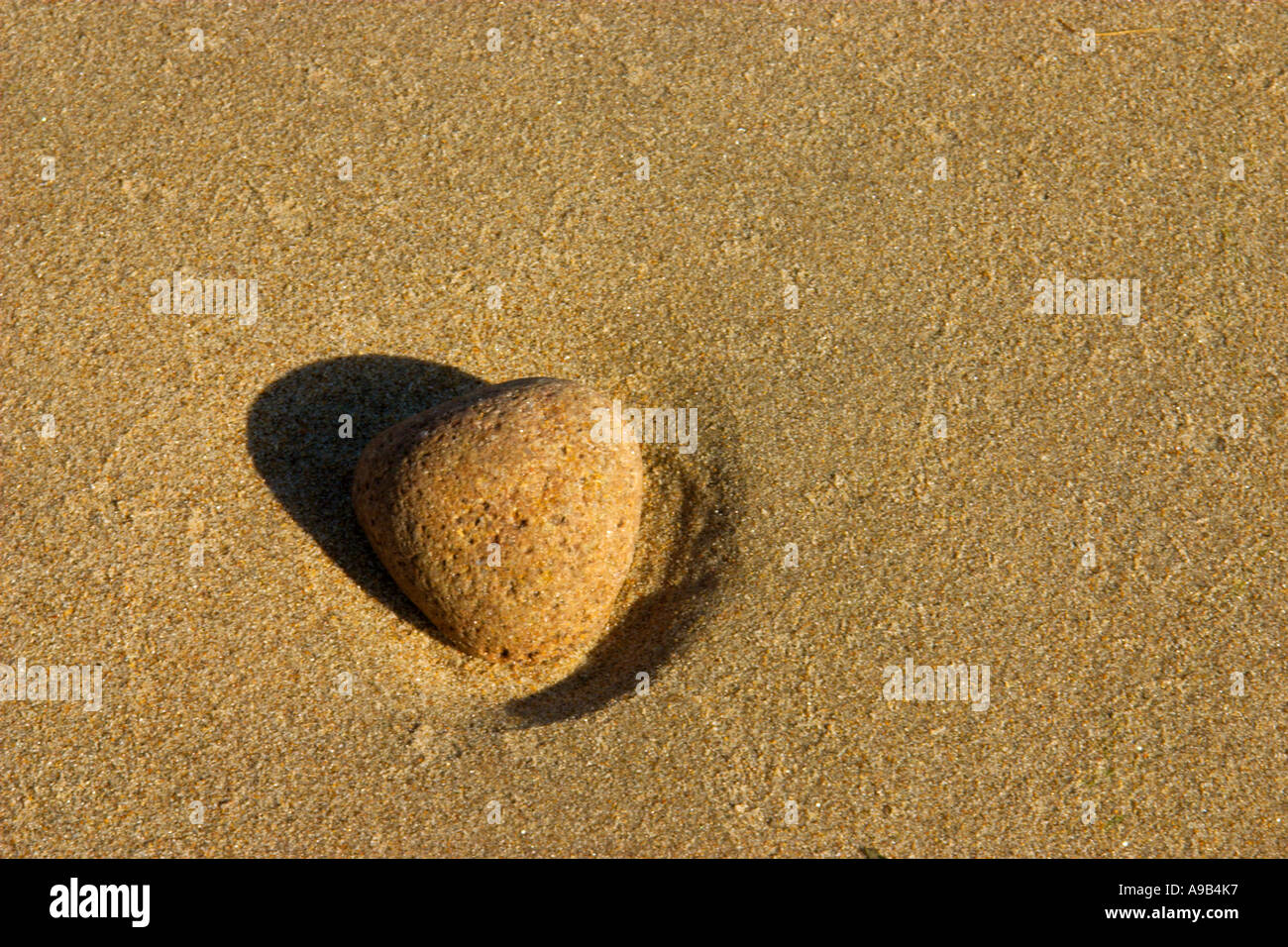 Embedded in a stone hi-res stock photography and images - Alamy
