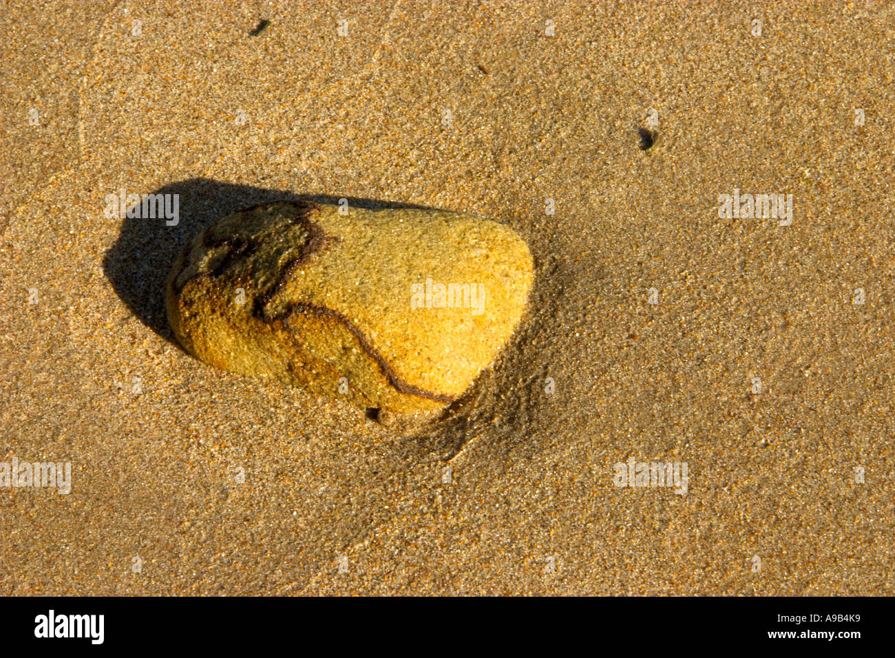 Embedded in a stone hi-res stock photography and images - Alamy