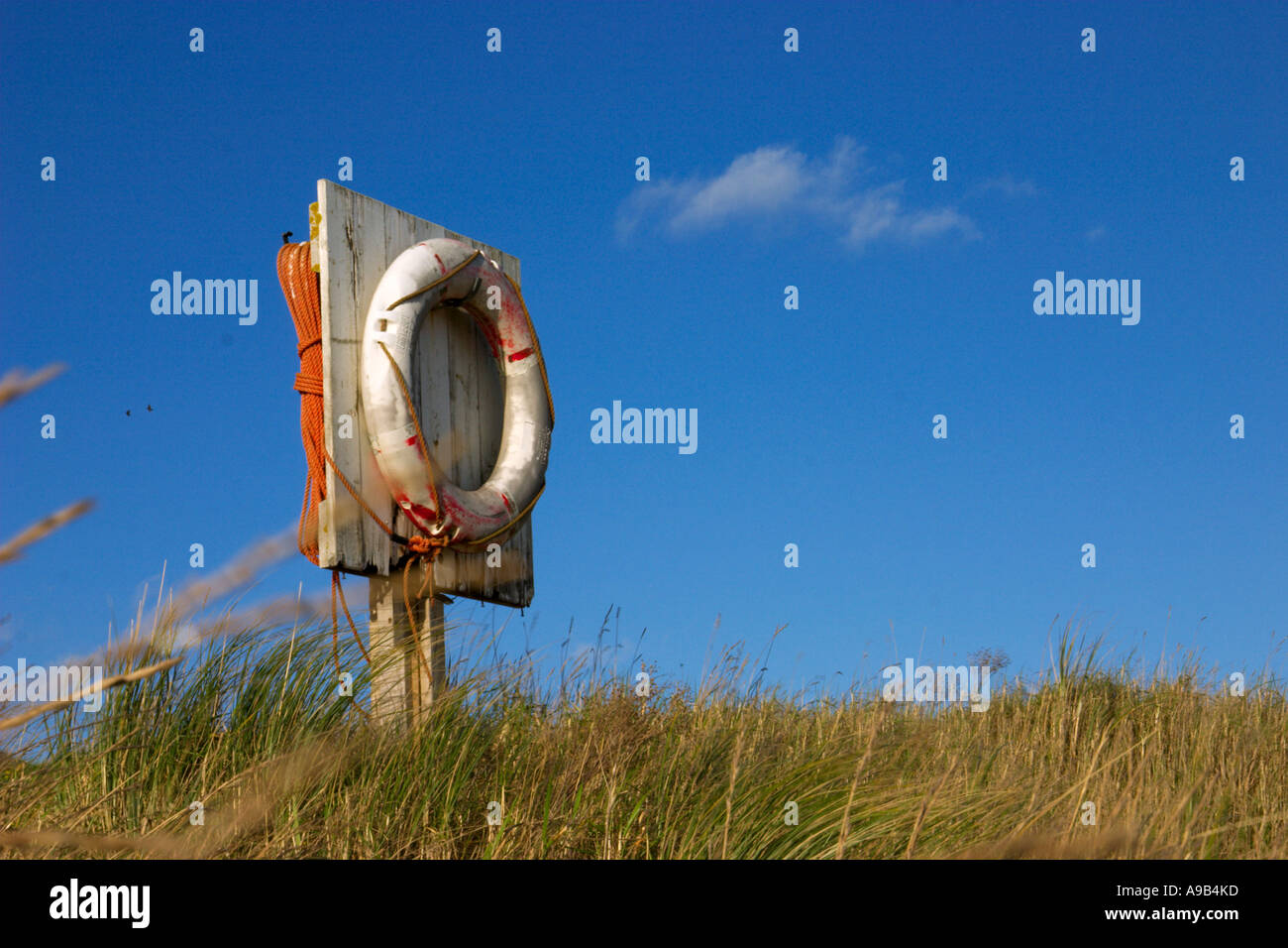 Life ring on beach, UK Stock Photo - Alamy