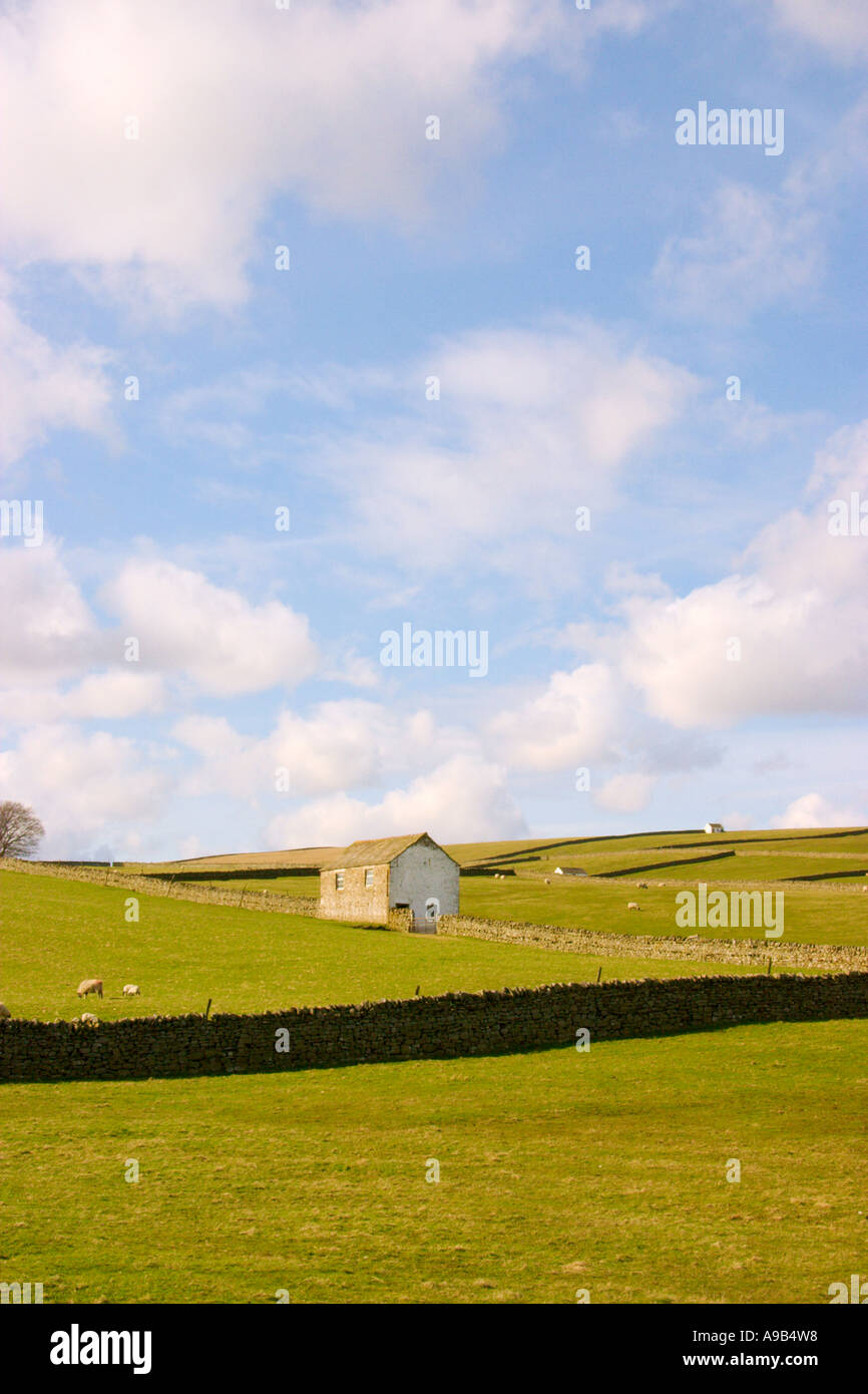 Barn Grass High Resolution Stock Photography and Images - Alamy