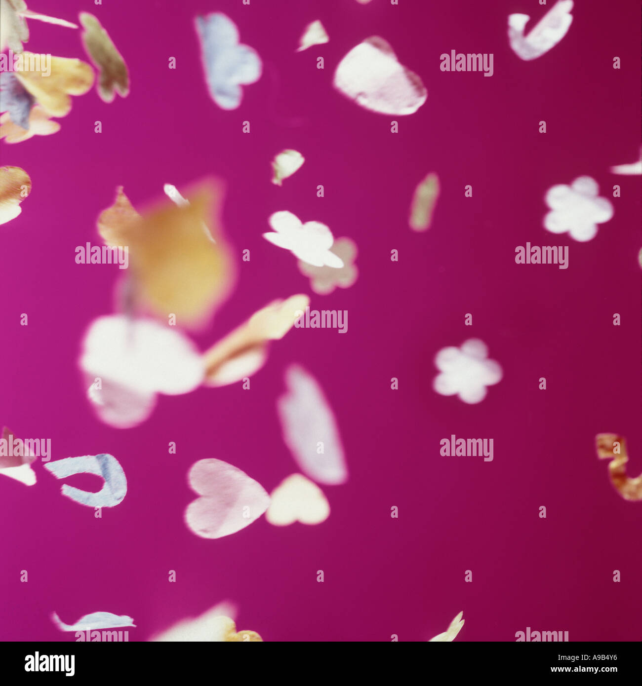 Throwing wedding confetti hi-res stock photography and images - Alamy