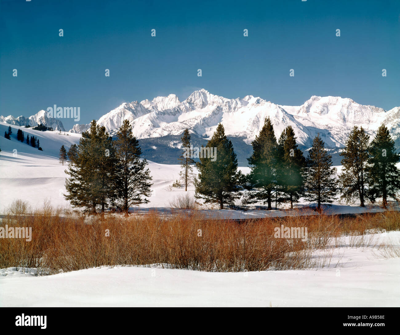 Sawtooth National Recreation Area of Idaho along the Salmon River in a ...
