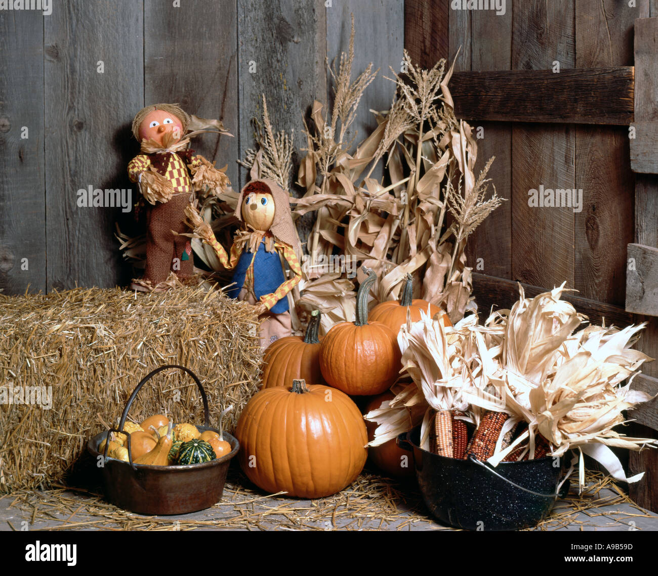 Indian scarecrow hi-res stock photography and images - Alamy