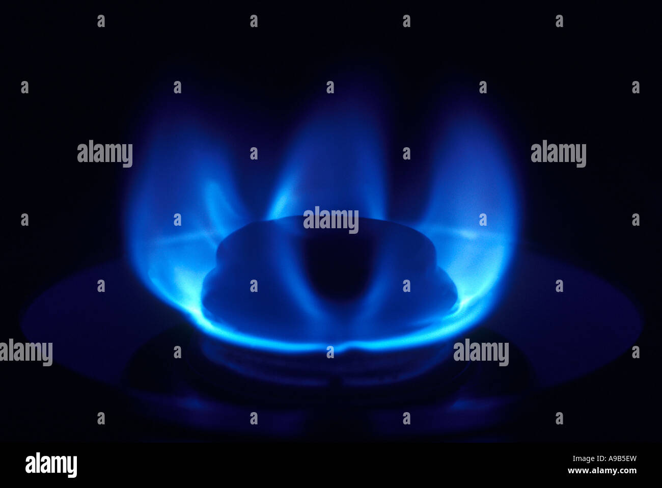 GAS BURNER FLAME Stock Photo - Alamy