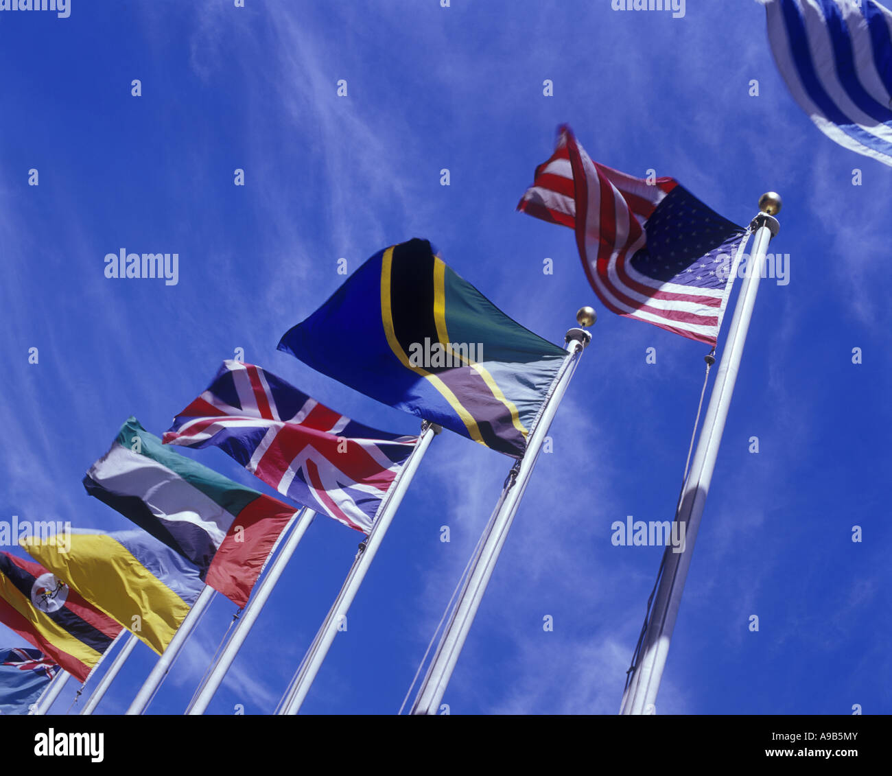 ROW OF NATIONAL FLAGS UNITED NATIONS BUILDING FIRST AVENUE MANHATTAN ...