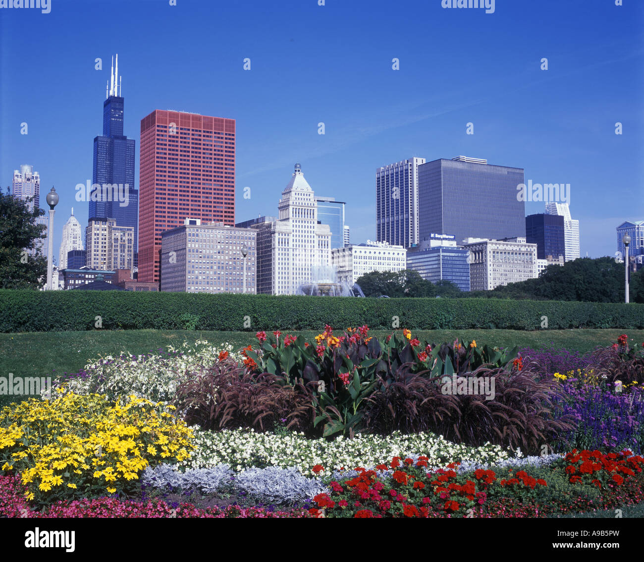 FLOWER BEDS GRANT PARK DOWNTOWN SKYLINE CHICAGO ILLINOIS USA Stock ...