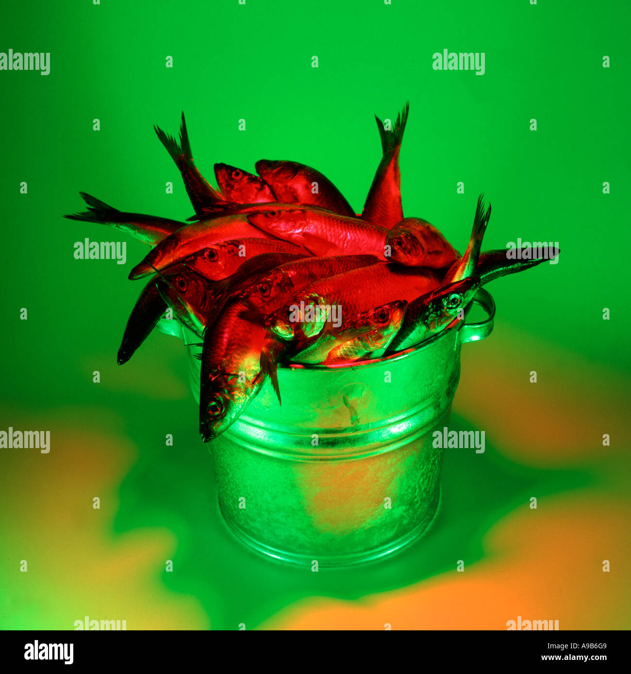 Red herrings hi-res stock photography and images - Alamy