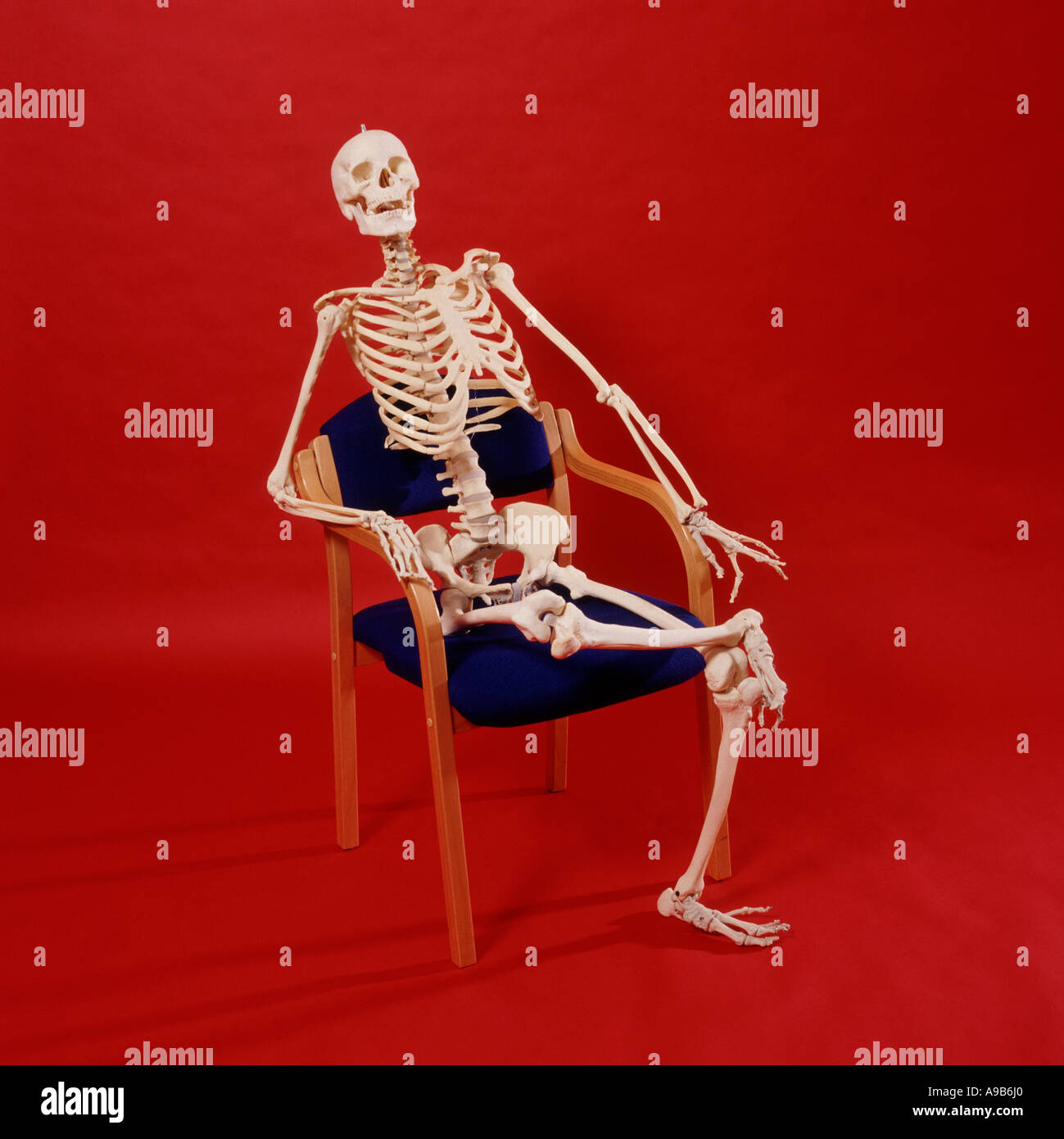 Chair bones hi-res stock photography and images - Alamy