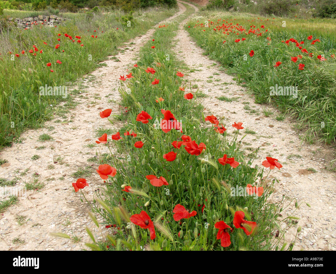 Countryway hi-res stock photography and images - Alamy