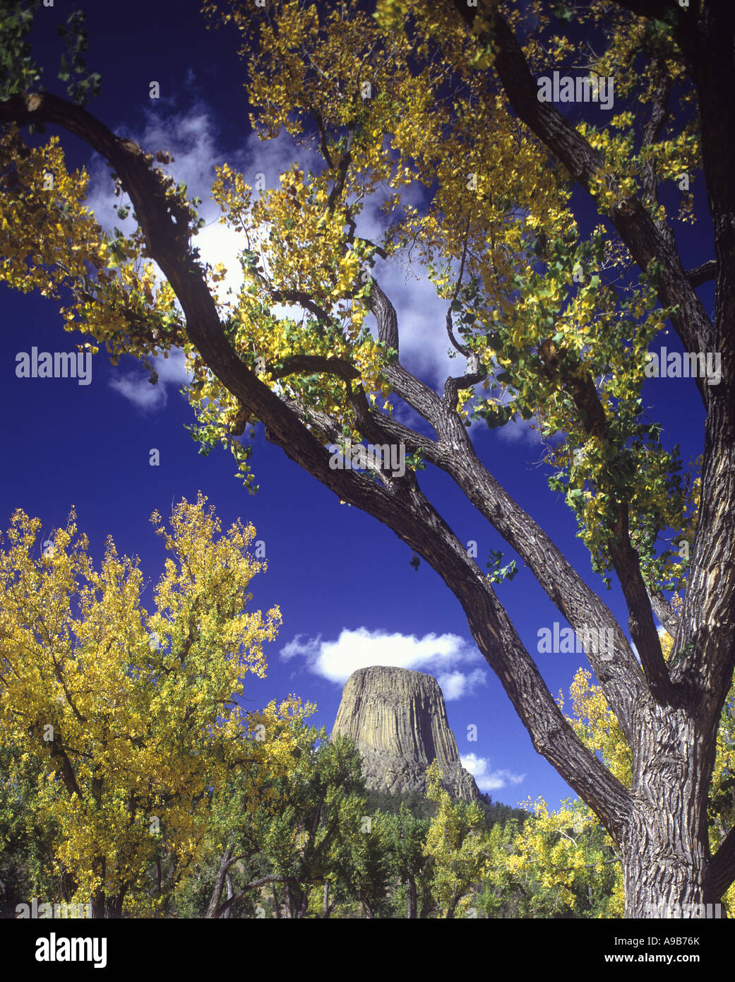 FALL FOLIAGE DEVILS TOWER NATIONAL MONUMENT WYOMING USA Stock Photo - Alamy