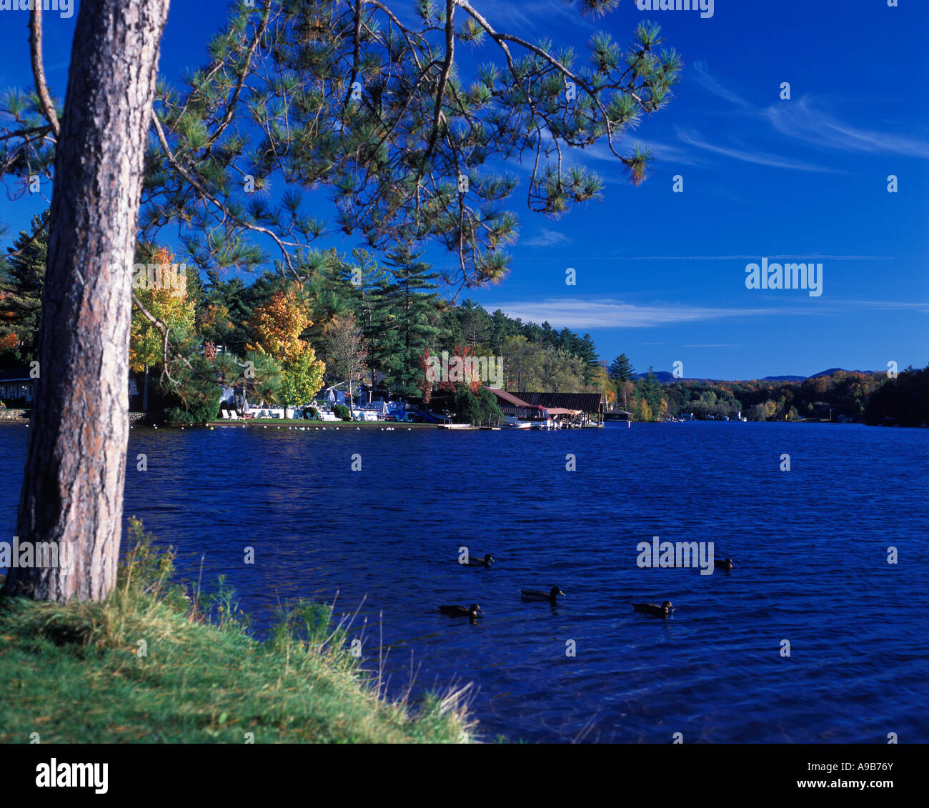 FALL FOLIAGE LAKE FLOWER LAKE SARANAC ADIRONDACK PARK NEW YORK STATE ...