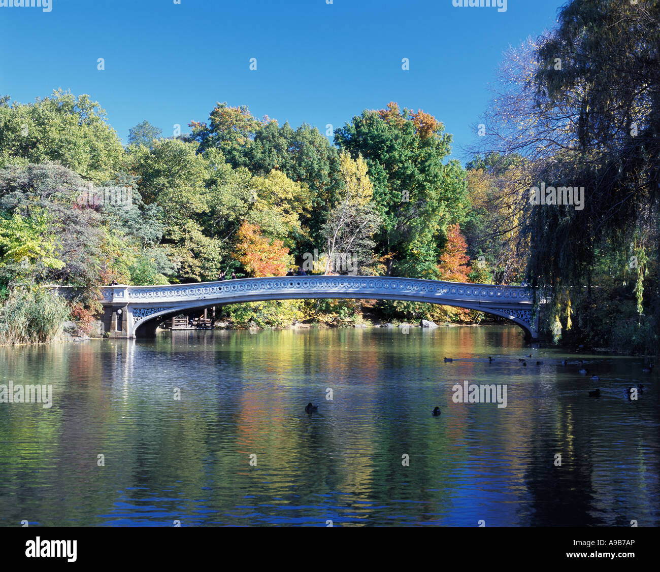 FALL FOLIAGE BOW BRIDGE CENTRAL PARK MANHATTAN NEW YORK CITY USA Stock ...