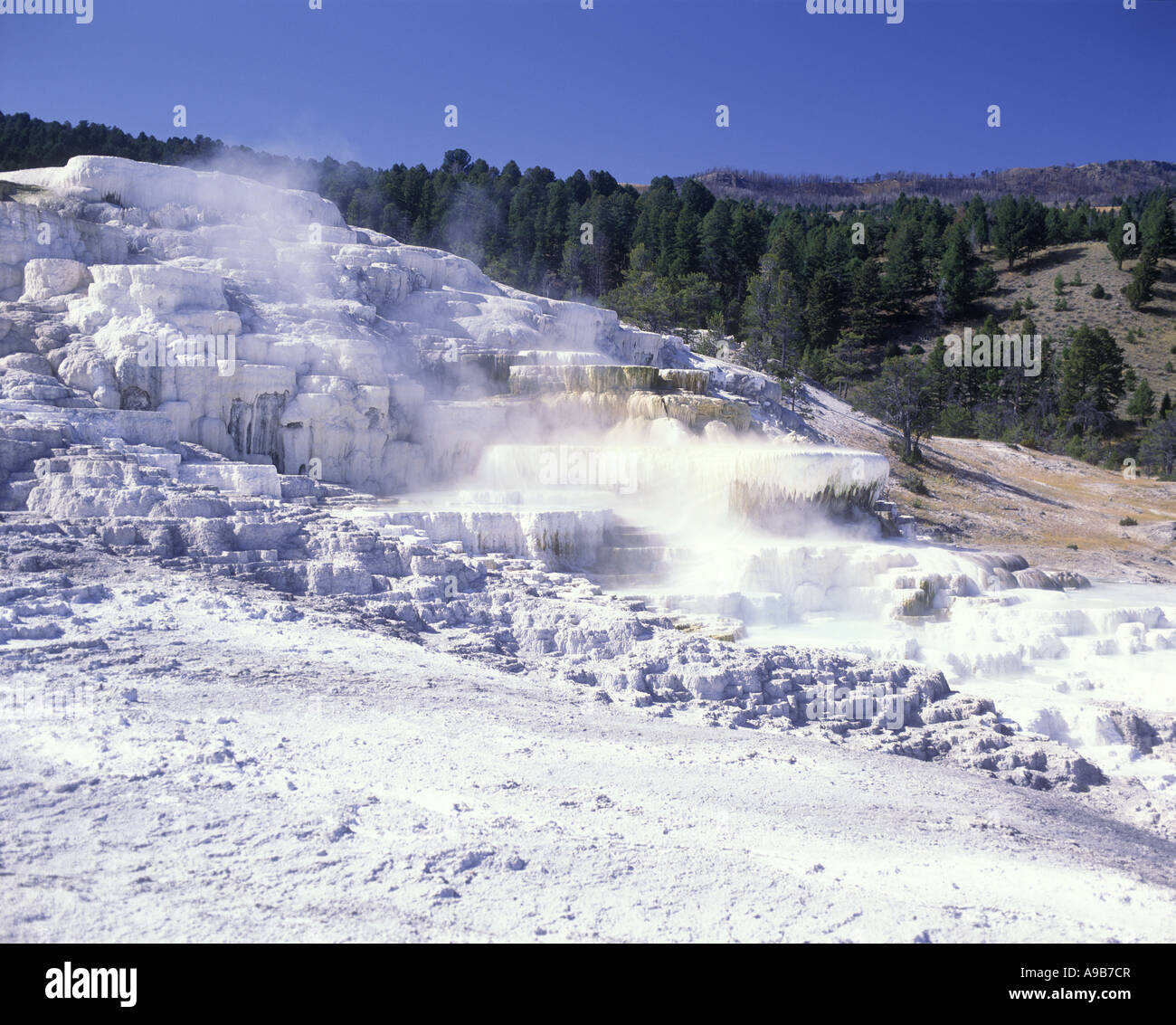 MINERVA TERRACE MAMMOTH HOT SPRINGS YELLOWSTONE NATIONAL PARK WYOMING ...