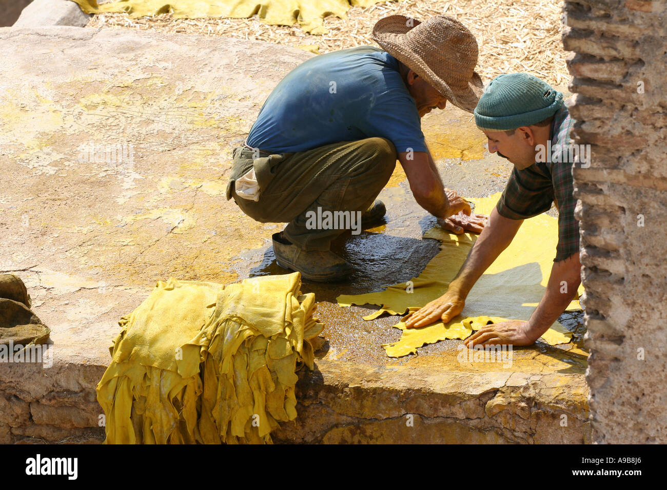 Yellow dyed skins are laid out to dry at a tannery in the Fez medina in ...