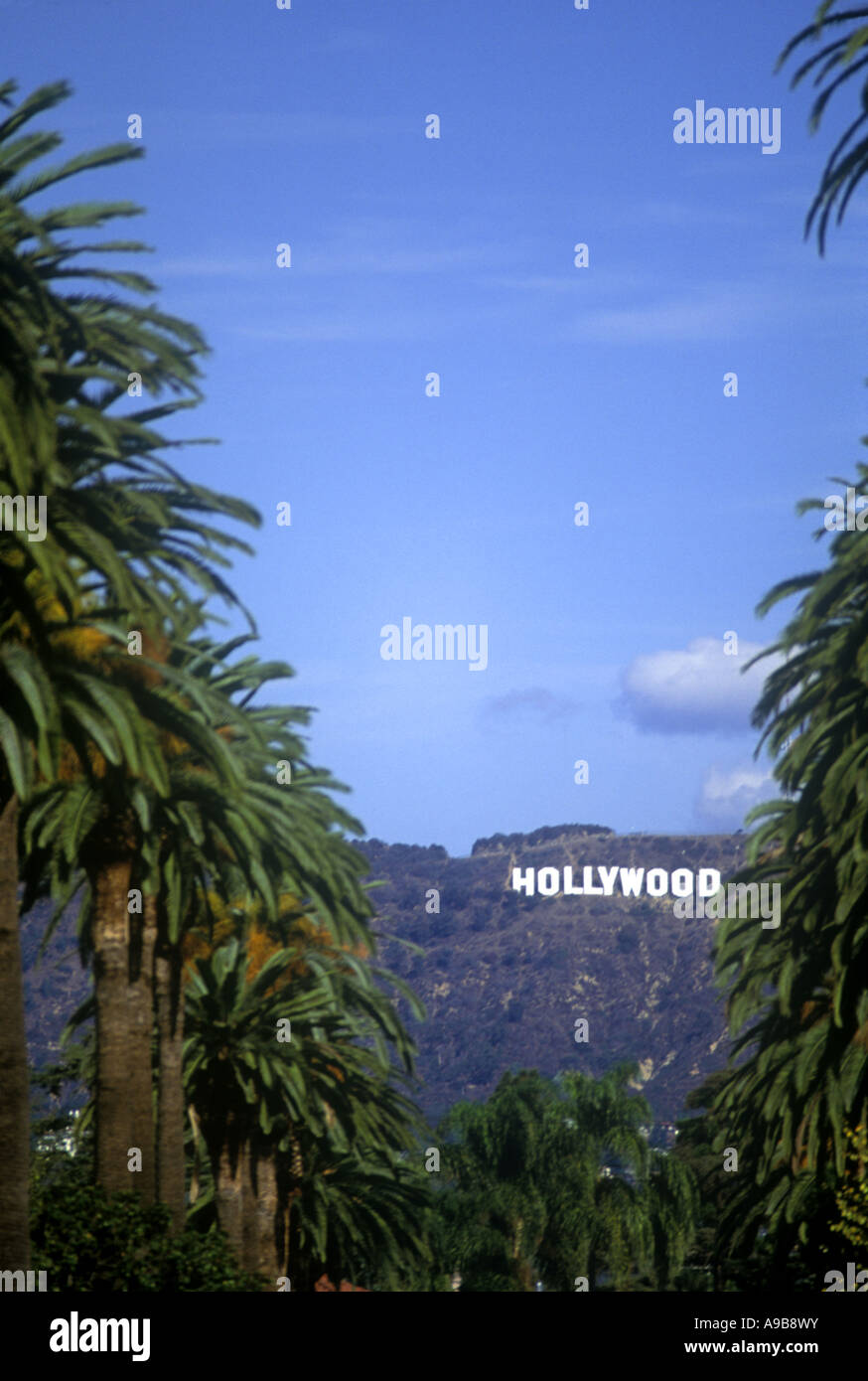 Palm trees hollywood sign windsor hi-res stock photography and images ...