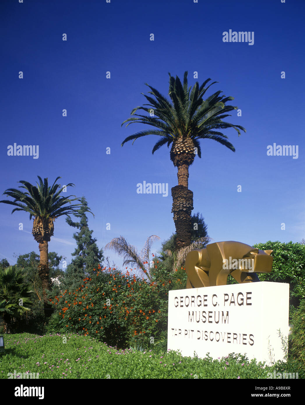 PAGE MUSEUM LA BREA TAR PITS LOS ANGELES CALIFORNIA USA Stock Photo - Alamy