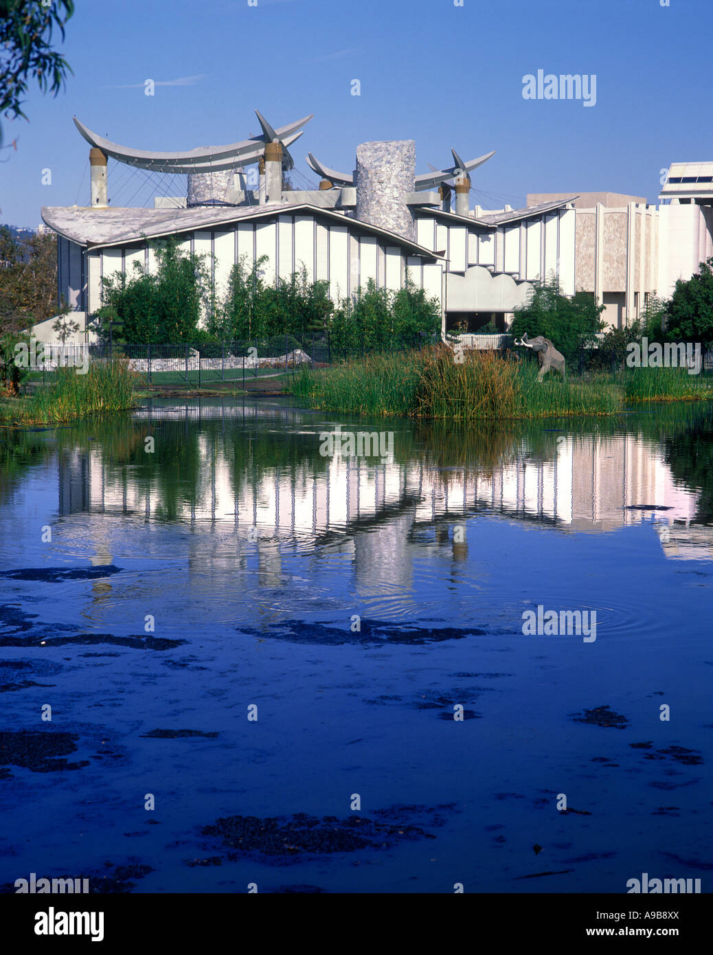 PAGE MUSEUM LA BREA TAR PITS LOS ANGELES CALIFORNIA USA Stock Photo - Alamy