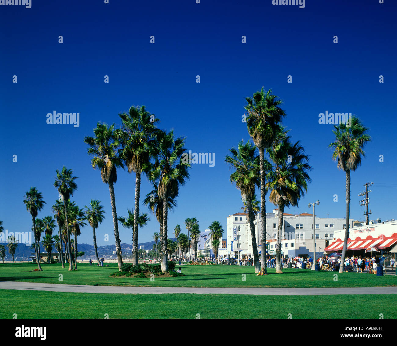 VENICE BEACH PROMENADE VENICE LOS ANGELES CALIFORNIA USA Stock Photo ...