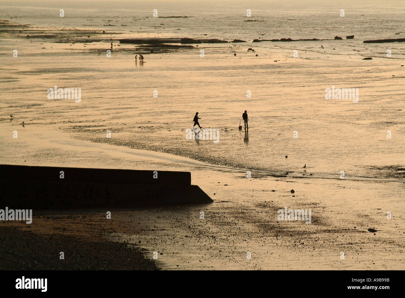 france normandy seine maritime fishing port of le treport at the mouth ...