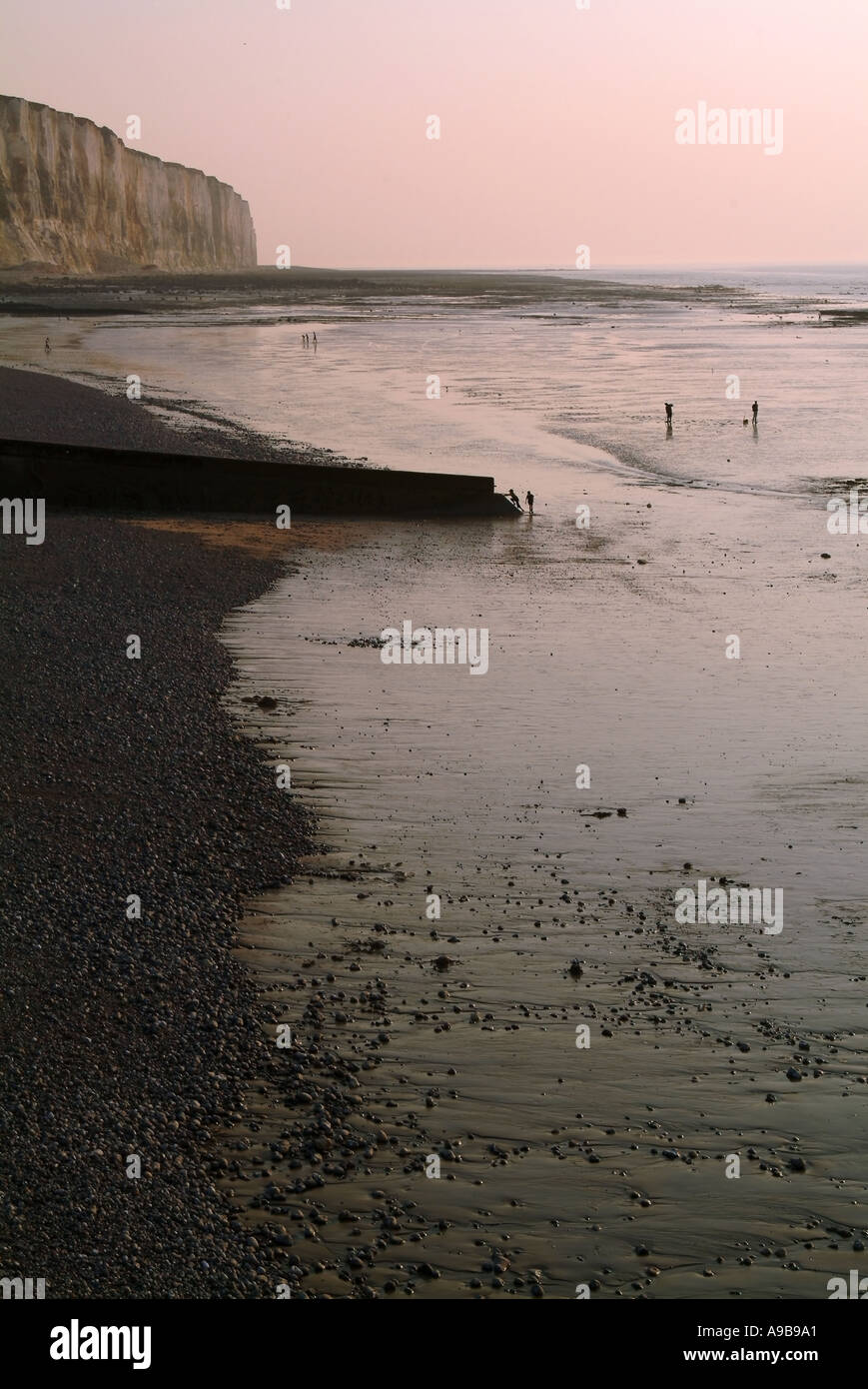 france normandy seine maritime fishing port of le treport at the mouth ...
