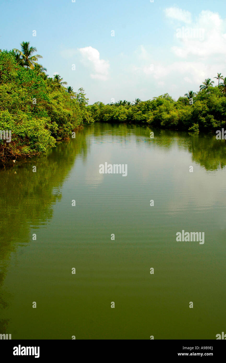 Mandrem goa hi-res stock photography and images - Alamy