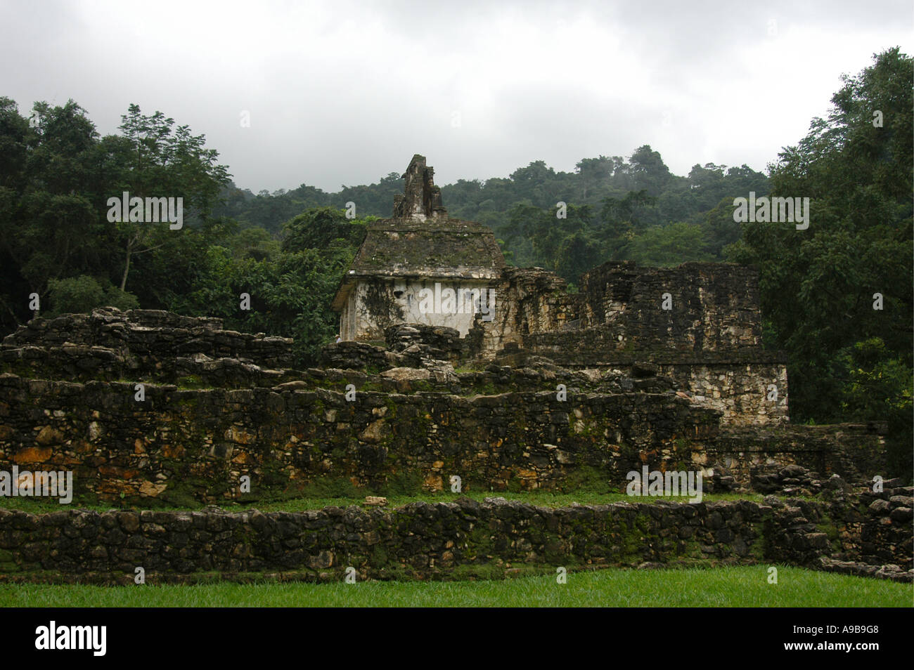 A general view of the Mayan ruins of Palenque in Mexico Stock Photo - Alamy