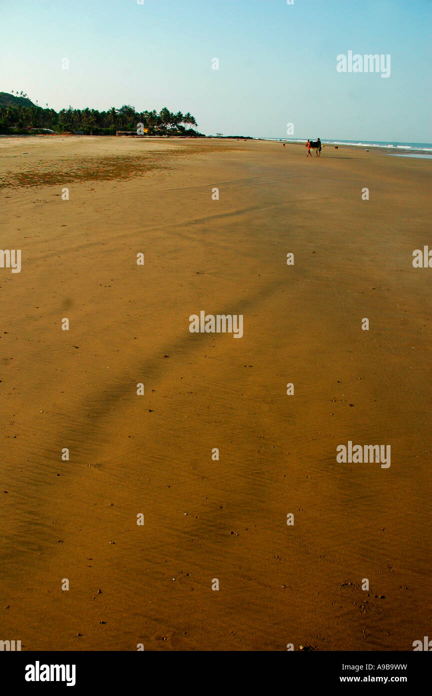 Mandrem beach, goa hi-res stock photography and images - Alamy