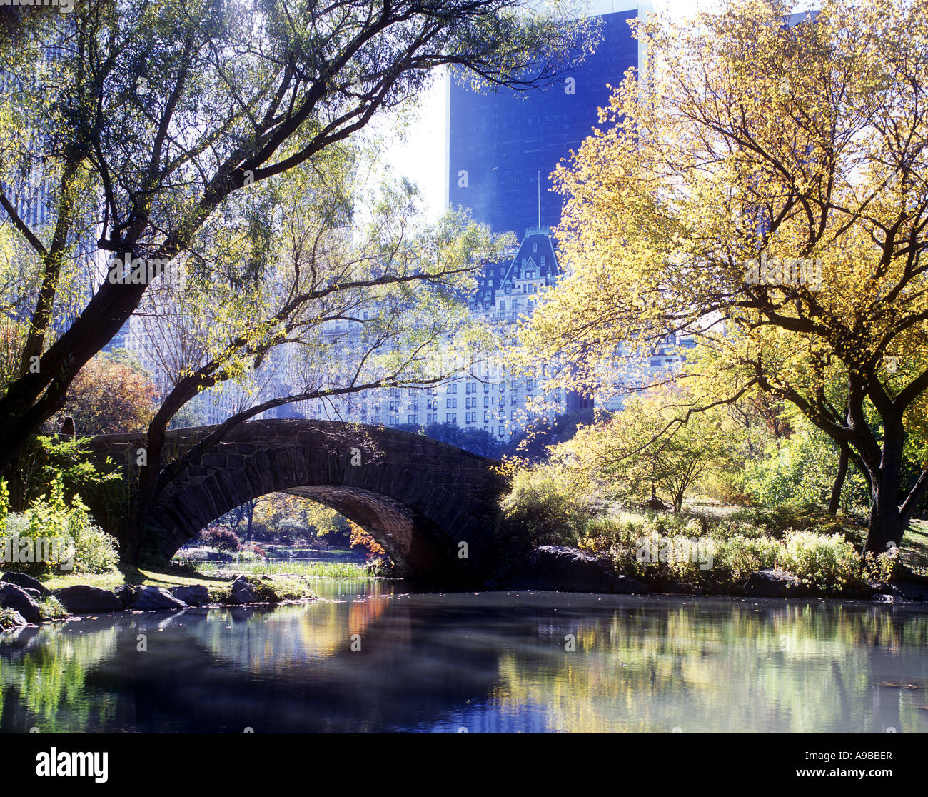 GAPSTOW BRIDGE (©CALVERT VAUX 1860) POND CENTRAL PARK MANHATTAN NEW ...