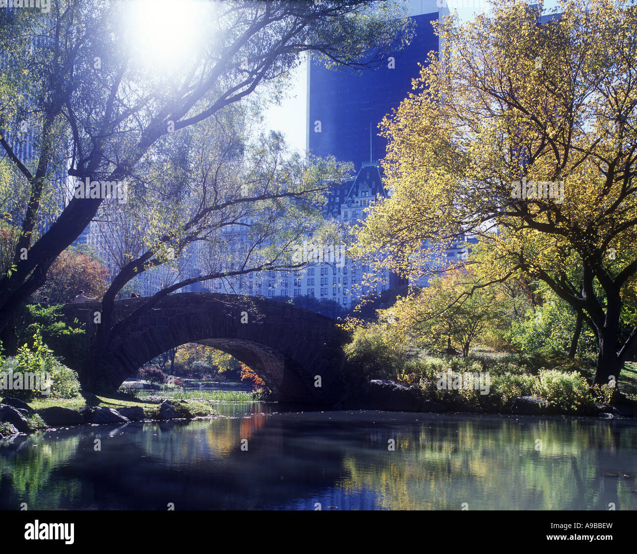 GAPSTOW BRIDGE (©CALVERT VAUX 1860) POND CENTRAL PARK MANHATTAN NEW ...