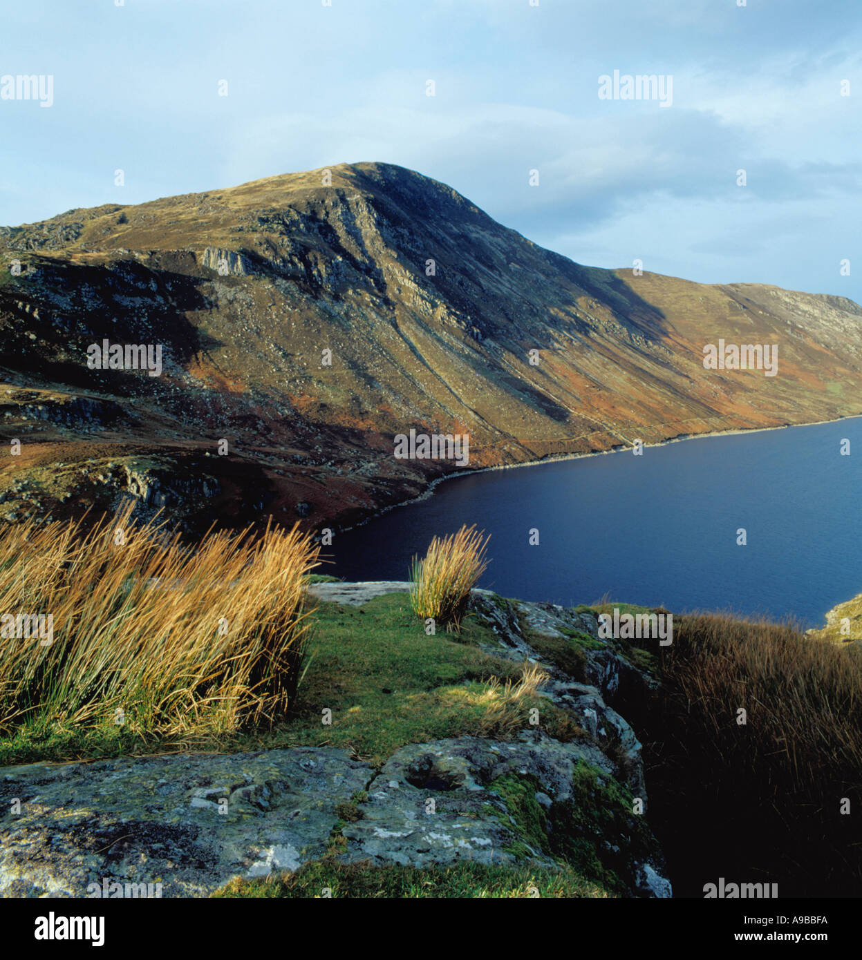 Llyn cowlyd hi-res stock photography and images - Alamy